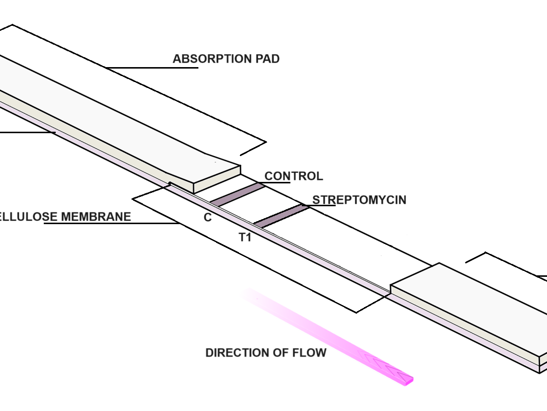 Antibiotics - Rapid Test (FlowSense) Archives - Biorex Food Diagnostics ...