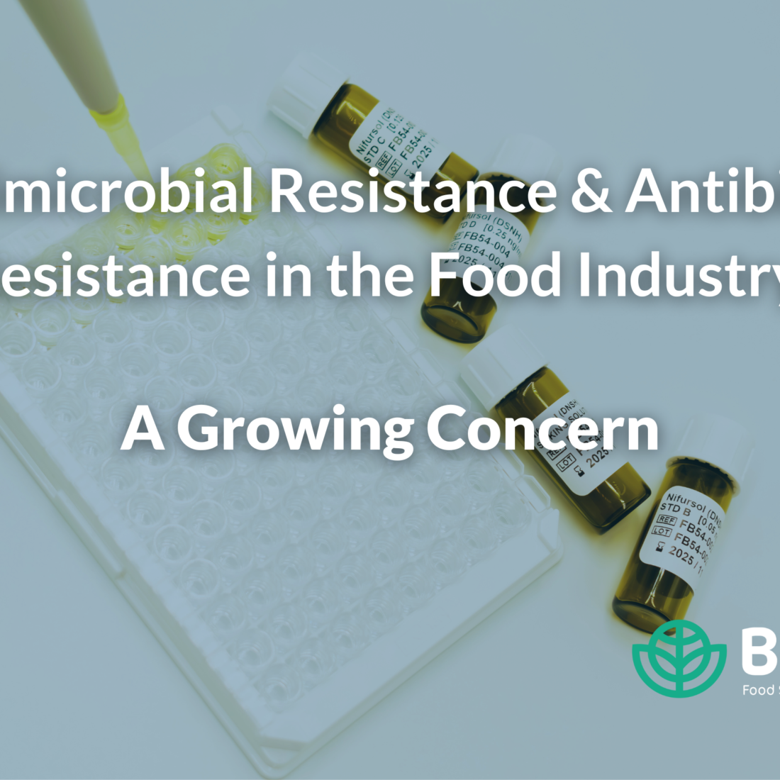 Antimicrobial Resistance and Antibiotic Resistance in the Food Industry ...